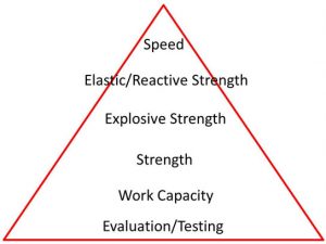 The Paradox of the Strength & Conditioning Professional - 8 Weeks Out