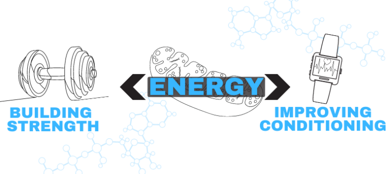 Strength AND Conditioning: 3 Rules For Combining Both Into a Single ...